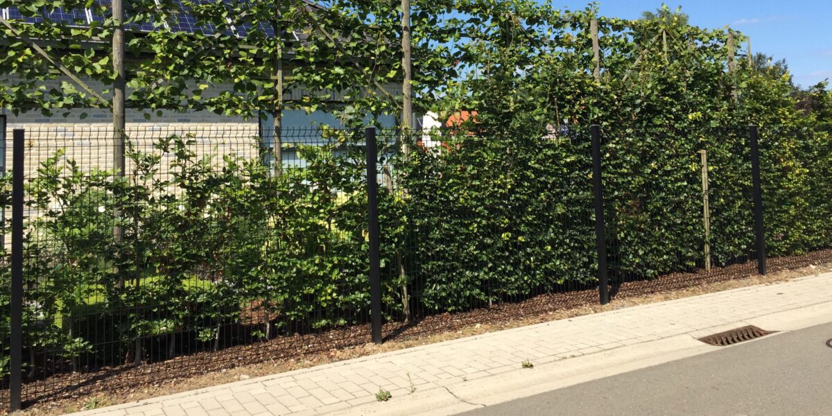 Staafmat hekwerk - Overzicht van oplossingen & soorten [+ prijzen]